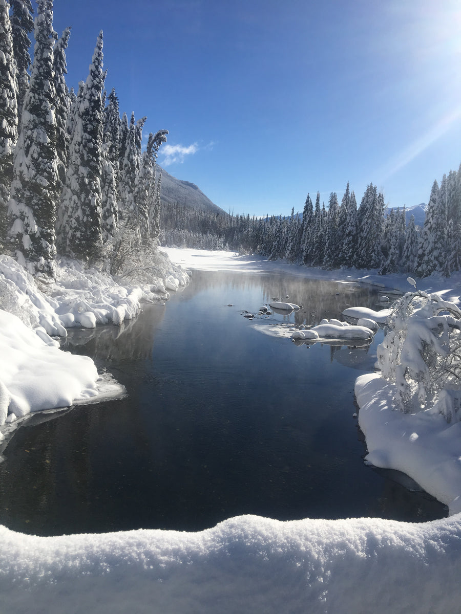 BCTA Adult Education Course. – BC Trappers